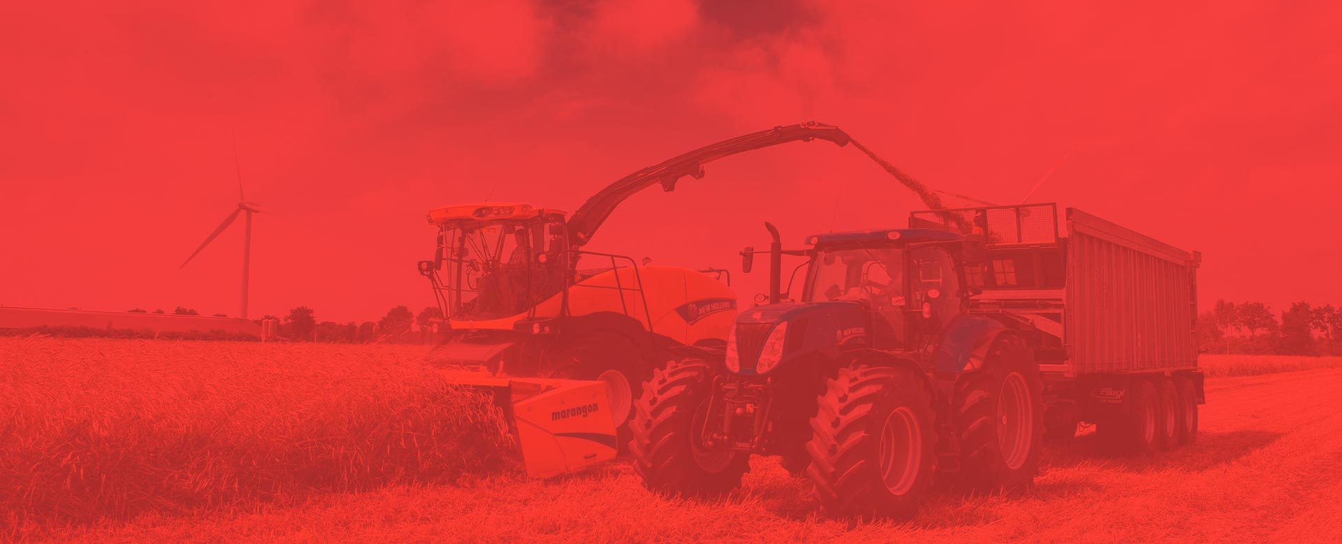 Machines - Fischer Australis